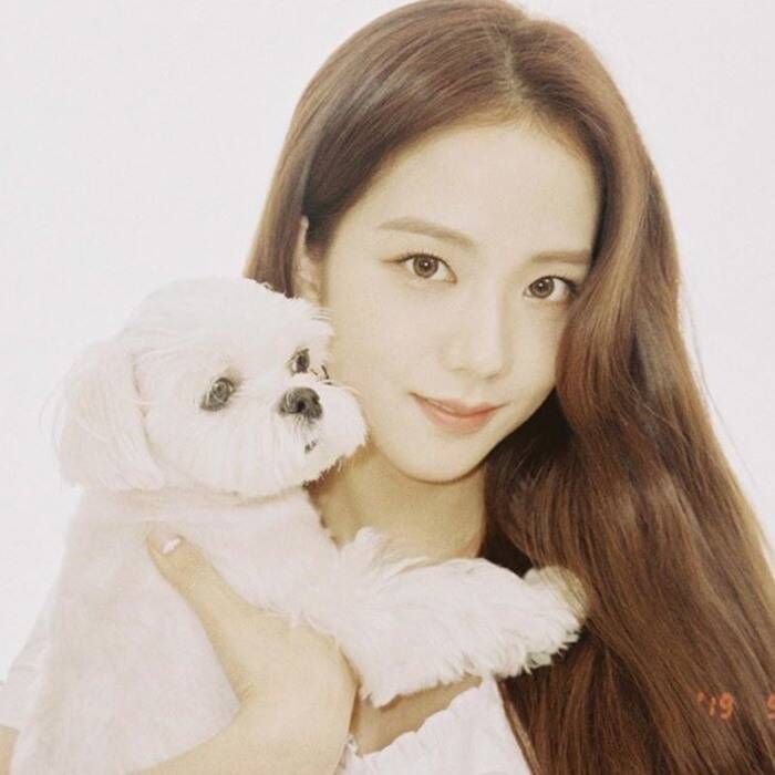 10 Cutest Photos Of BLACKPINK's Jisoo With Her Dog To Celebrate His ...