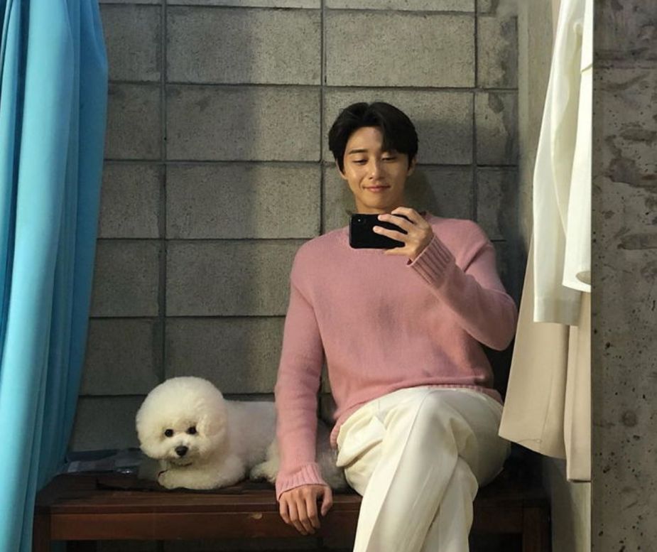 Everyone Wants to Be Hugged the Way Park Seo Joon Hugs His Doggo, Simba ...