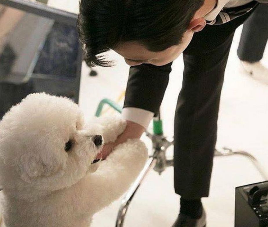 Everyone Wants to Be Hugged the Way Park Seo Joon Hugs His Doggo, Simba ...