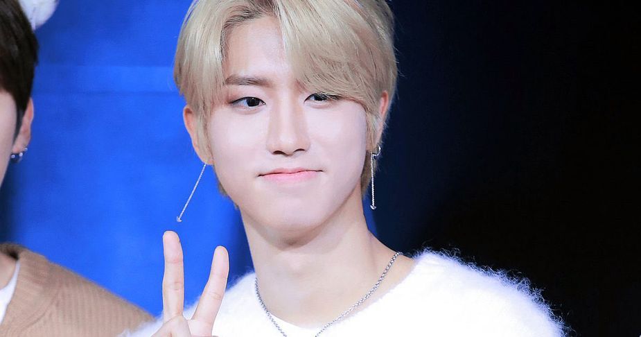 Stray Kids' Han Crushes The Misconception That Idols Can't Be ...