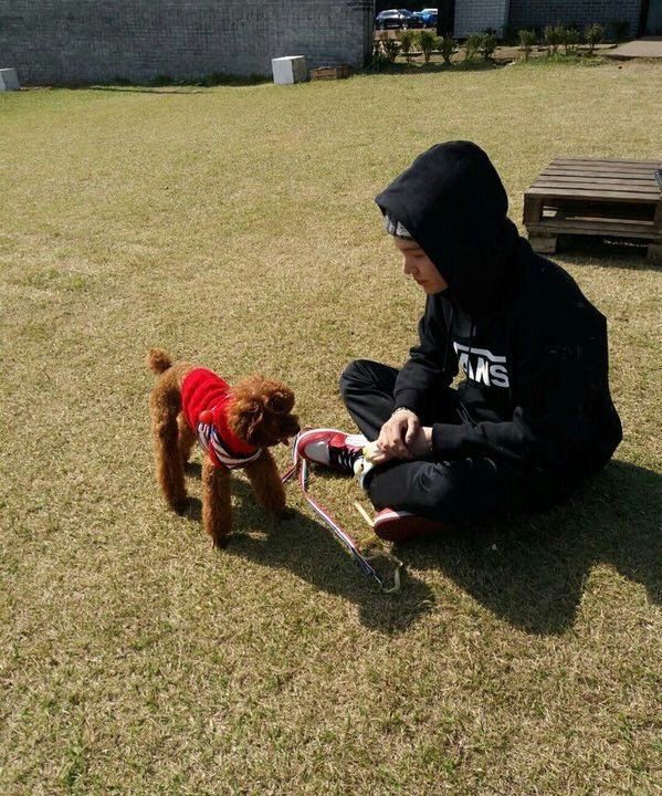 Suga's Dog Got A New Haircut And His Reaction Is Our Reaction Too