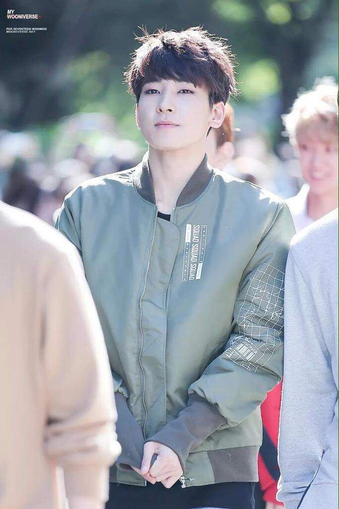 SEVENTEEN Wonwoo's Visual Power Has Increased Over The Years, And So ...