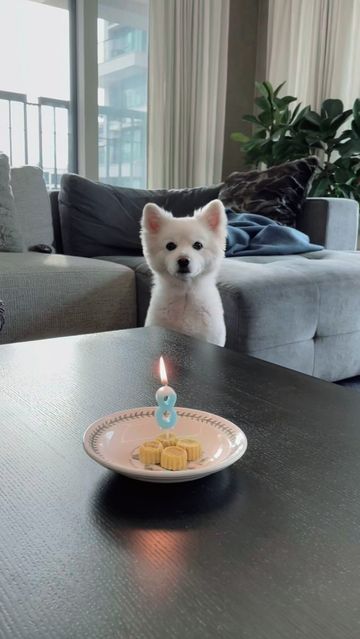 Monie Trends Worldwide As BTS's RM And ARMYs Celebrate His Birthday ...