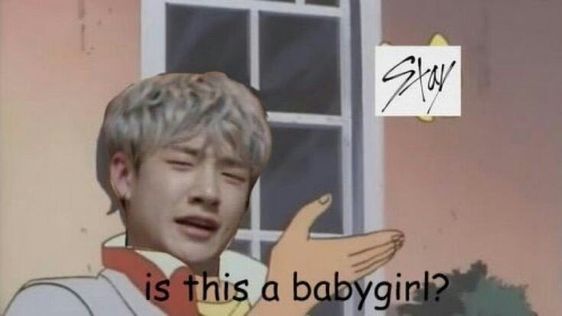 17 Giggle-Worthy Stray Kids Memes To Brighten Up Your Week - Koreaboo