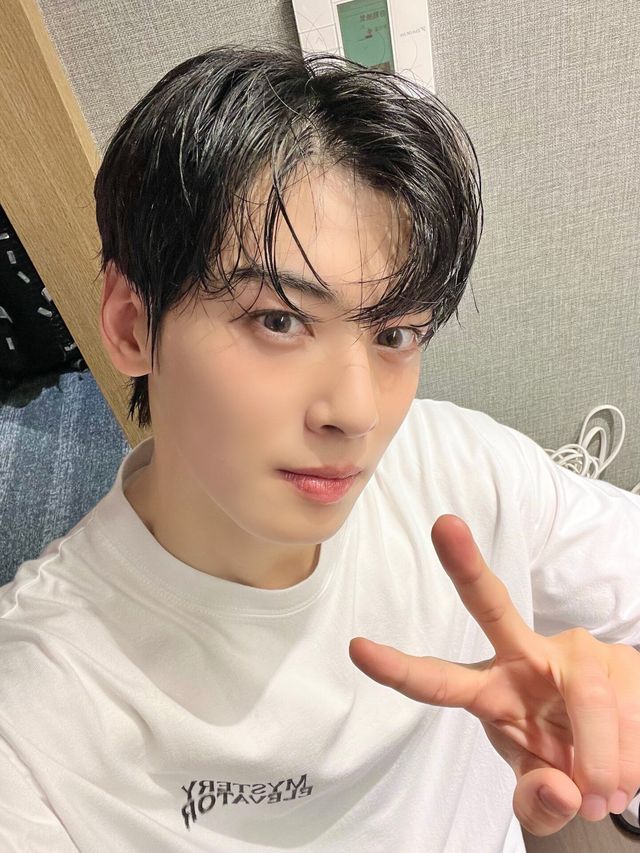 ASTRO's Cha Eunwoo and BLACKPINK Rosé's Dating ASTRO's Cha Eunwoo and BLACKPINK Rosé's Dating