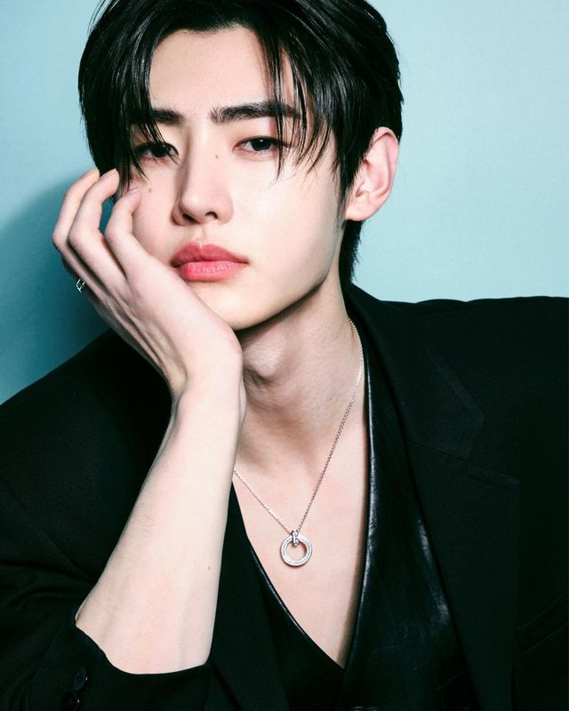 ENHYPEN's Sunghoon "Blamed" For Hate Comments About His Visuals By HYBE ...