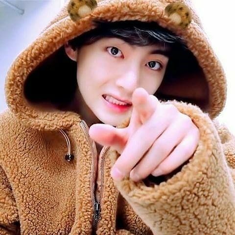 BTS's RM Helps V Come Up With A Way To End The "Team Tiger Vs Team Bear ...