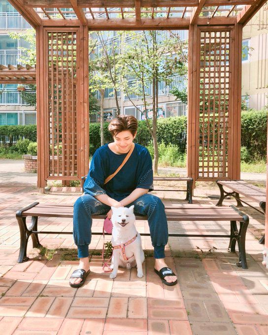 This Airport Staff Became An ARMY After Meeting BTS... Here's How She ...