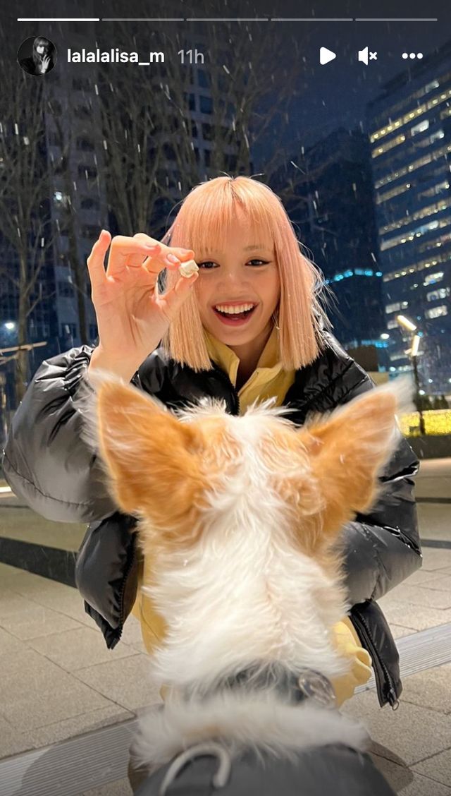 BLACKPINK's Rosé And Lisa Saw It Snowing And Immediately Went Outside ...