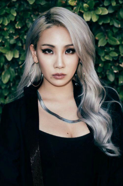 Here Are 10+ Idols Who Totally Rocked Silver Hair - Koreaboo