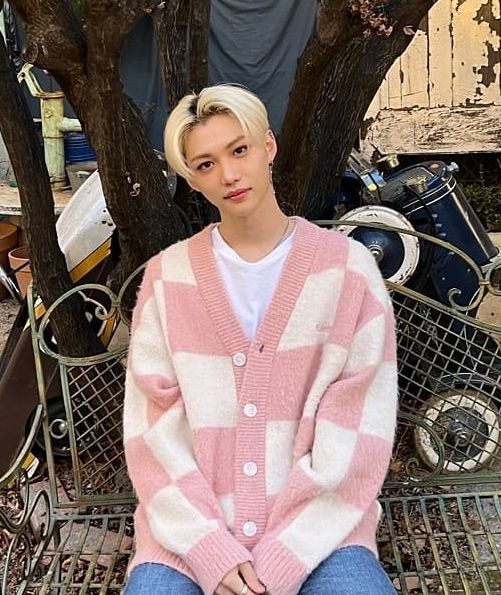 Stray Kids' Felix Looks Good In Every Color, These 15 Pictures Are ...