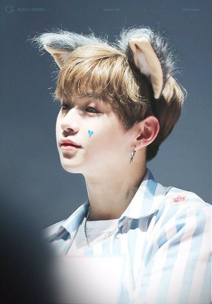 10+ Photos Prove Wanna One Daniel Is A Werewolf - Koreaboo