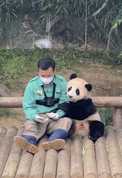 Fu Bao's "Grandpa" Leaves Netizens In Tears With His Emotional Final ...