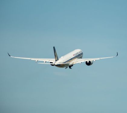 Passenger On Singapore Airlines Flight SQ321 Shares Horrifying First ...