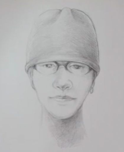 Facial Composite of Late Goo Hara's Safe Burglar Revealed For The First ...