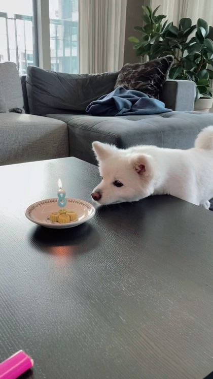 Monie Trends Worldwide As BTS's RM And ARMYs Celebrate His Birthday ...