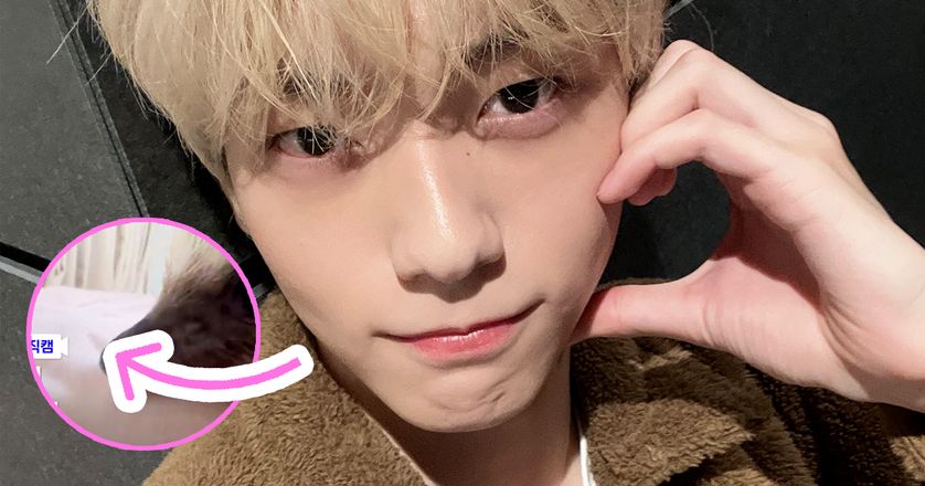 TXT Soobin's Pet Is So Popular Even Mnet Made A Fancam For Him - Koreaboo