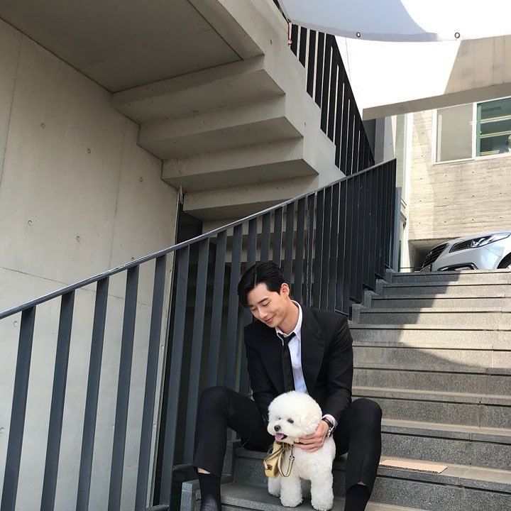 15+ Pictures Of Park Seo Joon And His Adorable Dog To Brighten Up Your ...