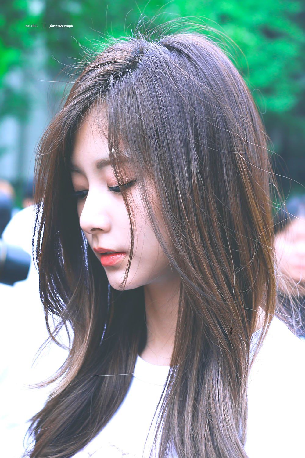 These 30+ Photos Of TWICE Tzuyu's Side Profile Is Proof That Every ...