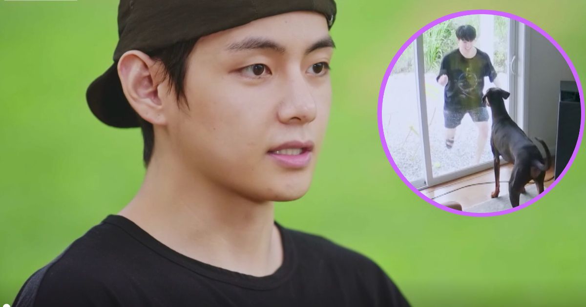 BTS's V Wants To Play With Bam, But Bam Only Has Eyes For His Owner ...