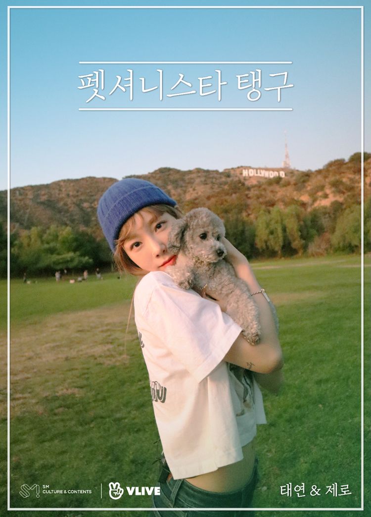 Girls’ Generation Taeyeon’s Dog Zero Becomes A Billionaire With His ...